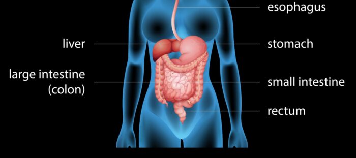 What does a proctologist Do? vs Gastroenterologist Know the Difference