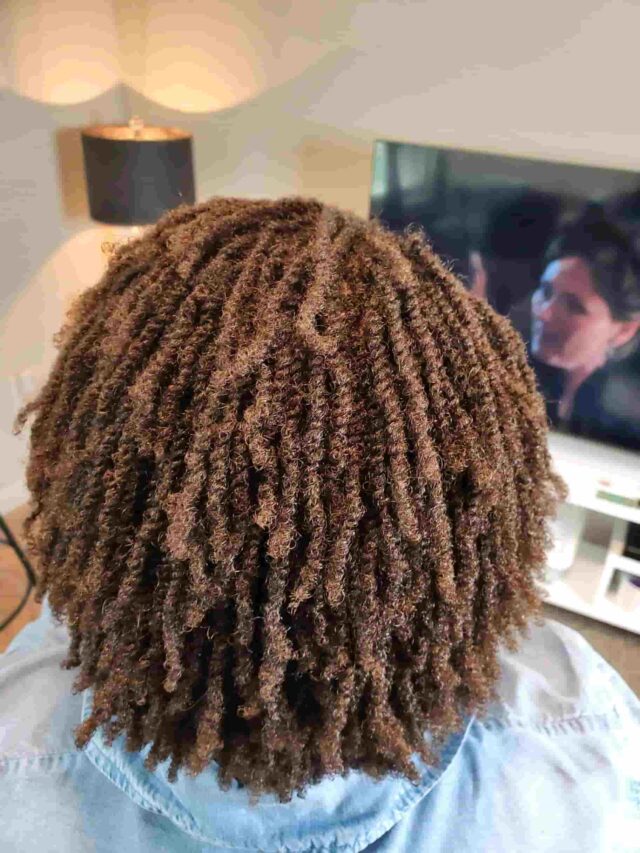 Microlocs vs Sisterlocks: Differences Pros and Cons, Tips
